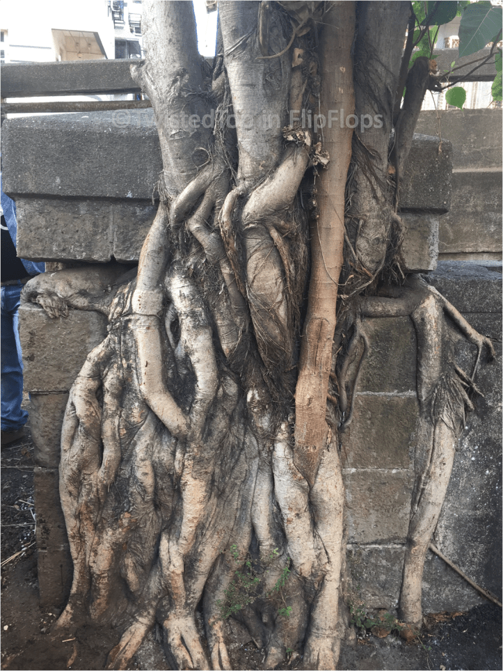 Heritage of Gamdevi – The Lost Coordinates