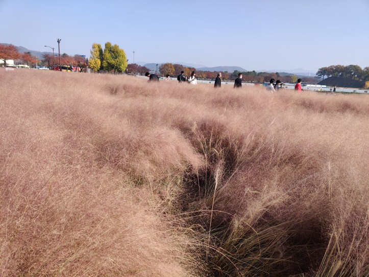 South Korea: A historical itinerary – The Lost Coordinates